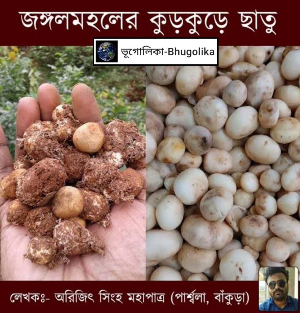 Kurkure Chhatu of Jangalmahal - ভূগোলিকা-Bhugolika